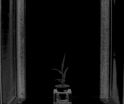 RGB to HSV - PlantCV